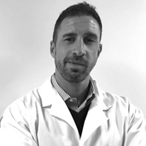 Bachelor Science (Hons) Physiotherapy 240 ECTS | ACS